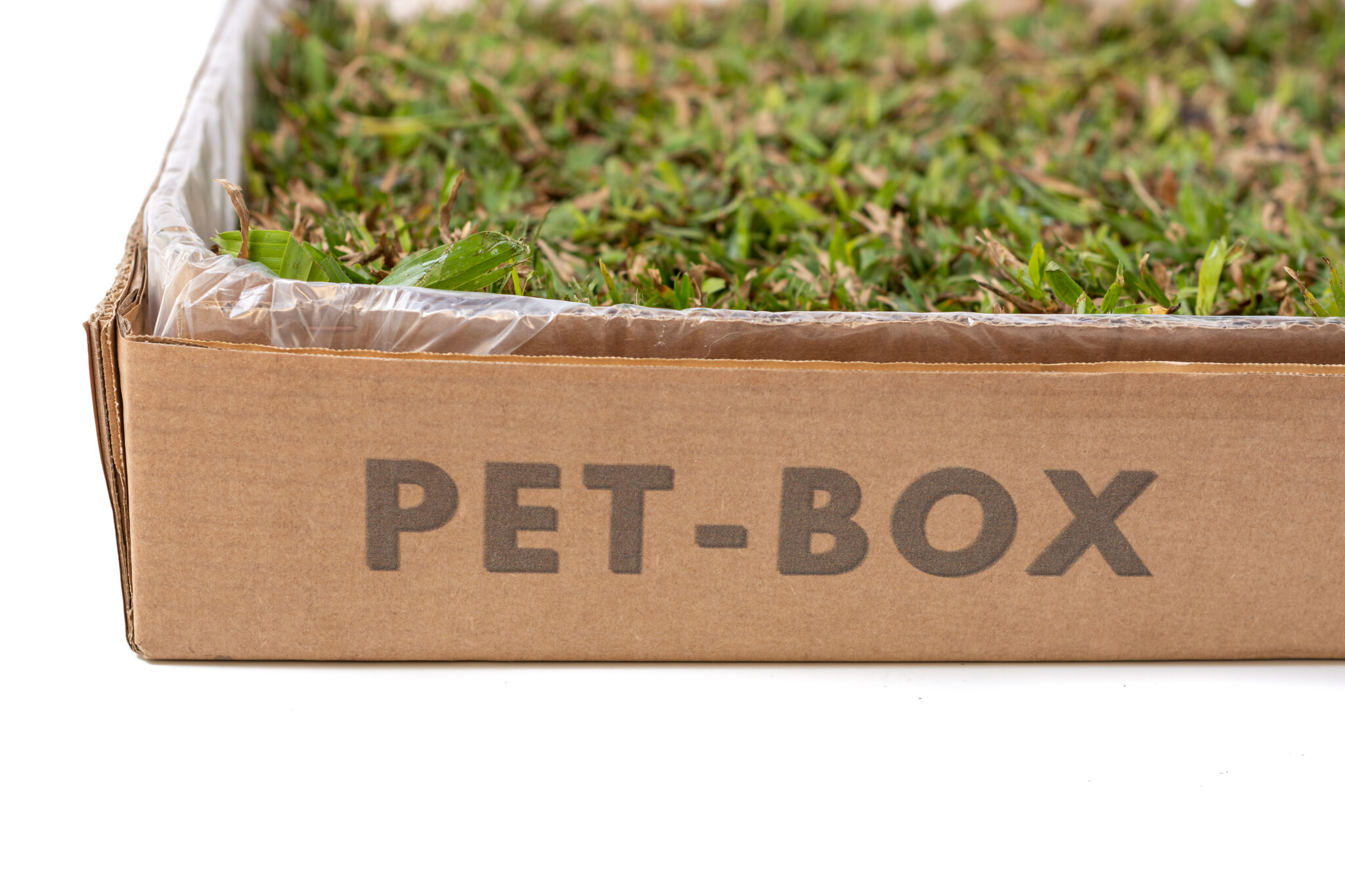 Pet Box Cartón Classic XL (perros grandes) - pethome.com.ar